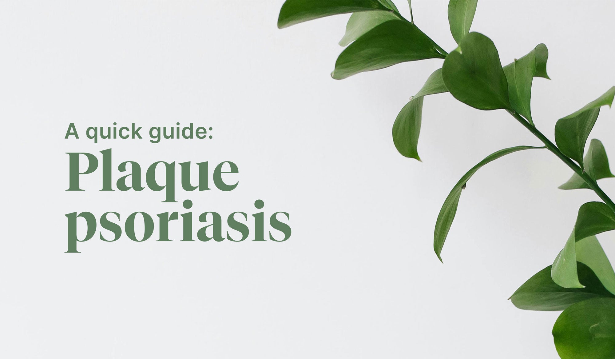 Understanding Plaque Psoriasis – Hanna Sillitoe