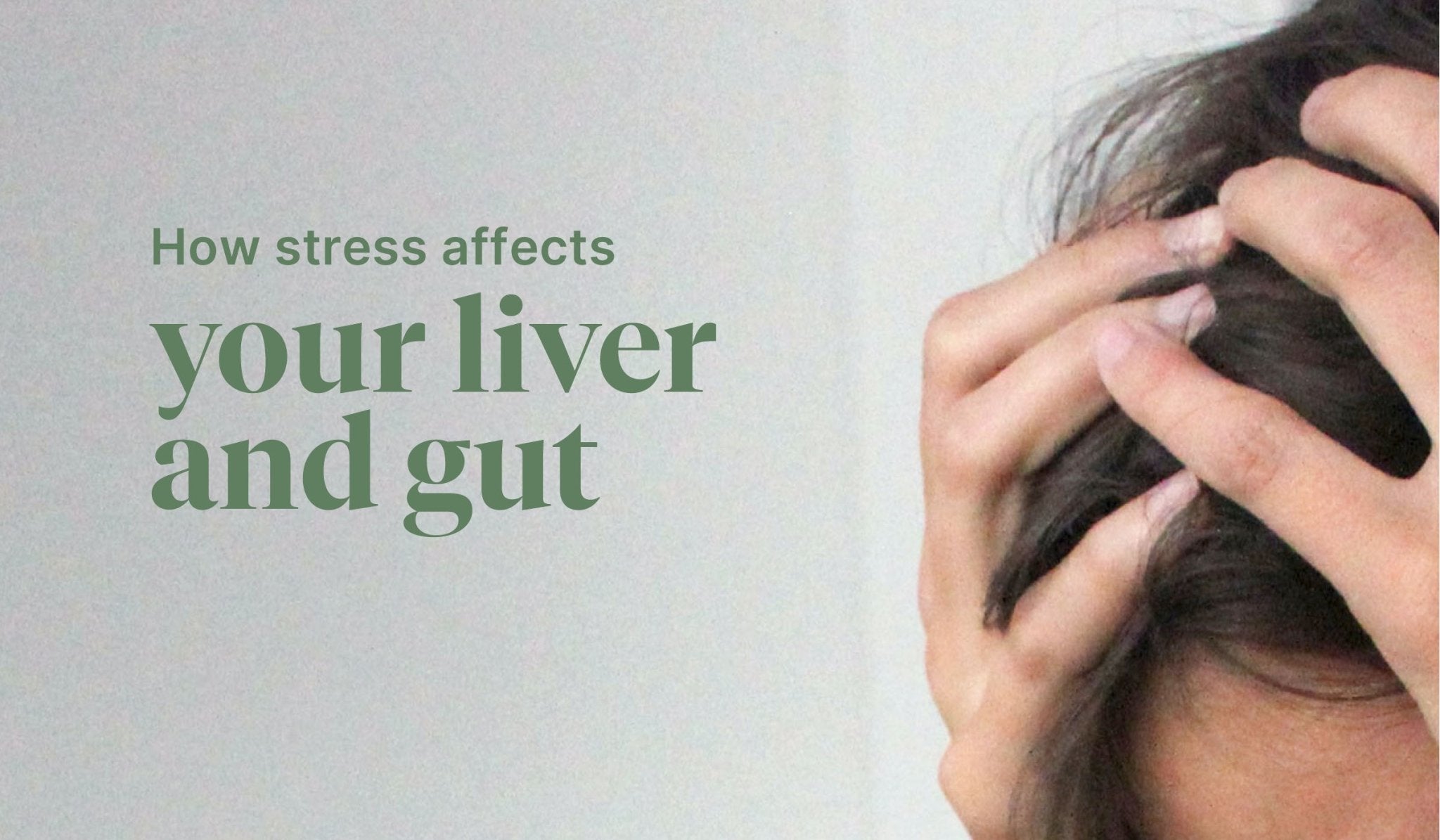 How Stress Affects Your Liver and Gut: Tips for Managing Both – Hanna ...