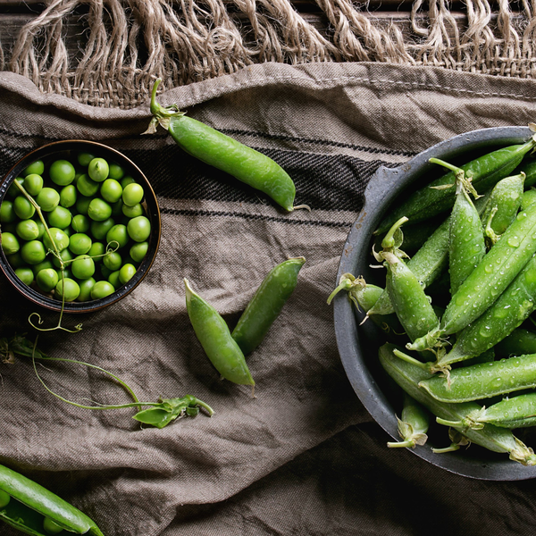 12 Person Lighted Instant Cabin Tent 18' X 10' – Core, 56% OFF