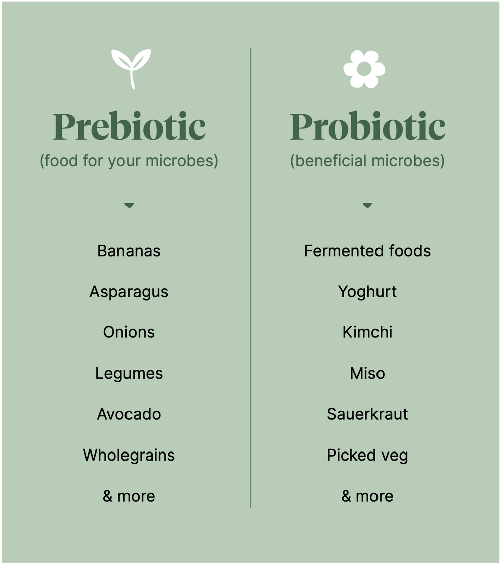 Gut health with Dr Gemma Newman – Hanna Sillitoe